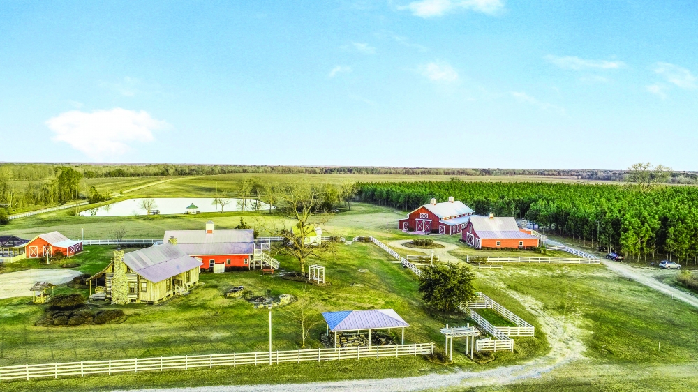 TWIN OAKS FARM RETIREMENT AUCTION in Hawkinsville | TWIN OAKS FARM ...